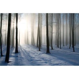 papermoon Fototapete &raquo;Misty Winter Forest&laquo; glatt bunt Vlies