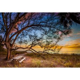 papermoon Fototapete &raquo;BAUM AM STRAND-MEER OZEAN BLUMEN SONNE WIESE FLORIDA&laquo; bunt Vlies