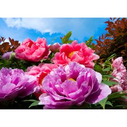 papermoon Fototapete &raquo;TropicalPeonies&laquo; glatt bunt Vlies