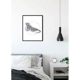 Komar Bild &raquo;Iguana Watercolor&laquo; Tiere 1 Stk. tlg. Wandbild zur Dekoration - ohne Rahmen bunt Holz, Papier