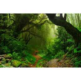 papermoon Fototapete &raquo;TROPISCHER WALD- DSCHUNGEL&laquo; bunt Vlies