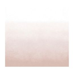 vtwonen Fototapete &raquo;Degrade&laquo; Ton-in-Ton glatt Soft Rosa - 300x280 cm rosa Vlies