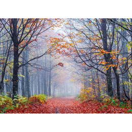 papermoon Fototapete &raquo;Foggy Autumn Forest Road&laquo; glatt bunt Vlies