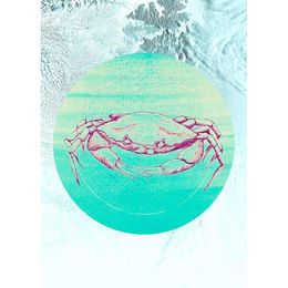 Komar Bild &raquo;Crab Sea&laquo; Tiere 1 Stk. tlg. Wandbild zur Dekoration - ohne Rahmen bunt Holz, Papier