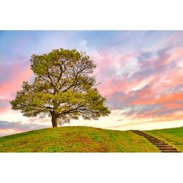 papermoon Fototapete &raquo;Baum in Landschaft&laquo; bunt Vlies