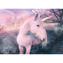 papermoon Fototapete &raquo;Unicorn&laquo; glatt bunt Vlies