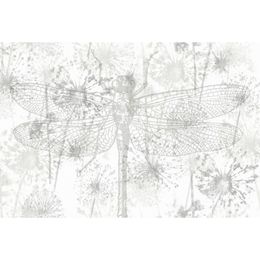 ARCHITECTS PAPER Fototapete &raquo;Atelier 47 Dragon Fly 2&laquo; floral glatt Vlies, Wand, Schr&auml;ge, Decke grau Vlies
