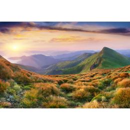 papermoon Fototapete &raquo;Garten mit Blumen&laquo; bunt Vlies