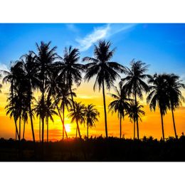 papermoon Fototapete &raquo;Coconut Palm Trees&laquo; glatt bunt Vlies