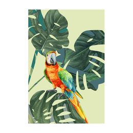 Komar Bild &raquo;Green-Winged Macaw&laquo; Natur 1 Stk. tlg. Wandbild zur Dekoration - ohne Rahmen bunt Holz, Papier
