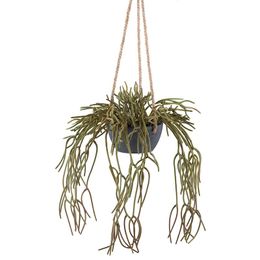 Creativ green Kunstpflanze &raquo;H&auml;ngepflanze Rhipsalis pilocarpa&laquo; in grauem H&auml;ngetopf gr&uuml;n Kunststoff
