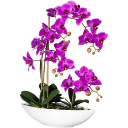 Creativ green Kunstorchidee &raquo;Phalaenopsis&laquo; im Keramikschiff lila Kunststoff