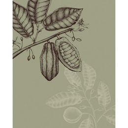 Komar Bild &raquo;Wild Cocoa&laquo; Natur 1 Stk. tlg. Wandbild zur Dekoration - ohne Rahmen gr&uuml;n Holz, Papier