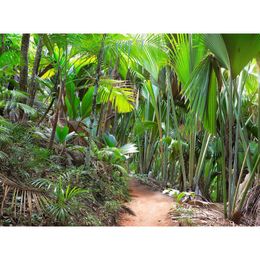 papermoon Fototapete &raquo;TROPISCHER WALD-BAUM DSCHUNGEL SONNE WEG PALMEN BACH&laquo; bunt Vlies
