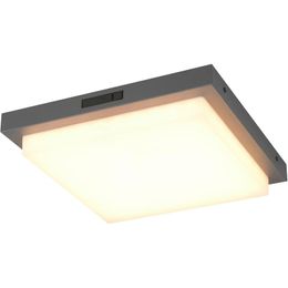 Trio Leuchten LED Au&szlig;en-Wandleuchte &raquo;BERMEJO, Hausnummer Leuchte mit Bewegungsmelder IP54 Fassadenleuchte&laquo; LED-Board 1 Stk. Farbwechsler warmwei&szlig; - 