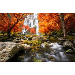 papermoon Fototapete &raquo;WASSERFALL-HERBST WALD B&Auml;UME STEINE FLUSS LANDSCHAFT&laquo; bunt Vlies