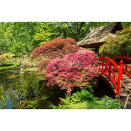 papermoon Fototapete &raquo;GARTEN-BLUMEN B&Auml;UME PFLANZEN STEINE WALD PARK BL&Uuml;TEN&laquo; bunt Vlies