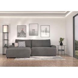 Trendmanufaktur Ecksofa &raquo;Fordon, Schlafsofa mit Bettkasten, Couch in L-Form, Breite 250 cm&laquo; in Struktur fein LEO, haustierfreundlich, anthrazit, 