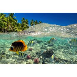 papermoon Fototapete &raquo;UNTERWASSER-WELT-FISCHE KORALLE SEE MEER PALMEN D&Uuml;NEN&laquo; bunt Vlies
