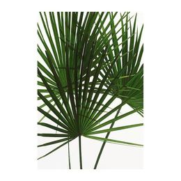 Komar Bild &raquo;Palmtree Leaves&laquo; Pflanzen 1 Stk. tlg. Wandbild zur Dekoration - ohne Rahmen gr&uuml;n Holz, Papier