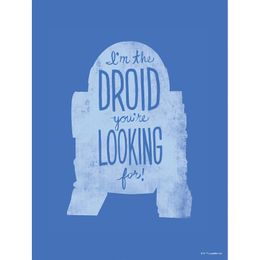 Komar Bild &raquo;Star Wars Silhouette Quotes R2D2&laquo; Disney 1 Stk. tlg. Wandbild zur Dekoration im Kinderzimmer - ohne Rahmen bunt Holz, Papier