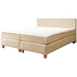 Alina Boxspringbett inklusive Matratze und Topper, in diversen Ausf&uuml;hrungen beige Struktur fein TCM (100% Polyester)