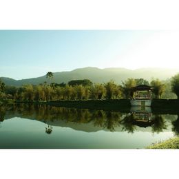 papermoon Fototapete &raquo;LANDSCHAFT-NATUR B&Auml;UME WALD PALMEN PFLANZEN SEE BERGE&laquo; bunt Vlies