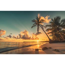papermoon Fototapete &raquo;PALMEN-STRAND-KARIBIK S&Uuml;DSEE MEER D&Uuml;NEN SONNE OZEAN XXL&laquo; bunt Vlies