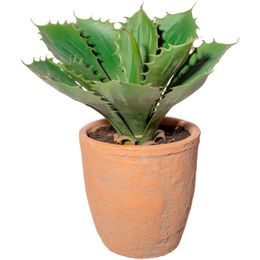Creativ green K&uuml;nstliche Zimmerpflanze &raquo;Echeveria im Terracottatopf&laquo; gr&uuml;n Obermaterial: 100% Polyethylen
