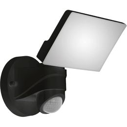 Eglo Wandleuchte &raquo;Pagino Au&szlig;en-Wandlampe, Au&szlig;enleuchte, Kunststoff, IP44, Au&szlig;enstrahler&laquo; LED-Modul 1 Stk. Kaltwei&szlig; Wand-/Deckenleuchte - L18 x H26 x 
