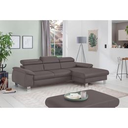 COTTA Ecksofa &raquo;Komaris L-Form, B: 244 cm&laquo; mit Kopfteilverstellung, optional Bettfunktion, Bettkasten & Licht grau Microfaser PRIMABELLE (100% 