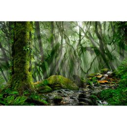 papermoon Fototapete &raquo;TROPISCHER WALD-BAUM DSCHUNGEL SONNE WEG PALMEN BACH&laquo; bunt Vlies