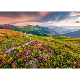 papermoon Fototapete &raquo;BLUMEN-NATUR LANDSCHAFT BERGE GEBIRGE ALPEN LAVENDEL&laquo; bunt Vlies