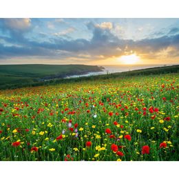 papermoon Fototapete &raquo;BLUMEN-WIESE-MOHN FELD CORNWALL MEER K&Uuml;STE SONNE WOLKEN&laquo; bunt Vlies