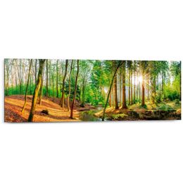Reinders Deco-Panel &raquo;Sonniger Wald&laquo; gr&uuml;n Holzwerkstoff