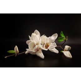 papermoon Fototapete &raquo;Photo-Art TONY08, MAGNOLIE&laquo; bunt Vlies