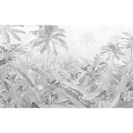 Komar Vliestapete &raquo;Digitaldruck Vlies - Amazonia Black & White - Gr&ouml;&szlig;e 400 x 250 cm&laquo; bedruckt glatt Wohnzimmer, Schlafzimmer schwarz Vlies