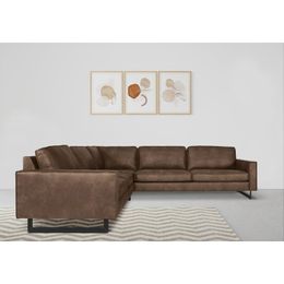 Home Affaire Ecksofa &raquo;Pinto, XXL, 250/290 cm, langer Schenkel, Ottomane&laquo; Cord, Chenille, Lederoptik, mit Keder, Metallf&uuml;&szlig;e, Wellenunterfederung braun 