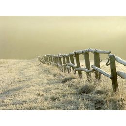 papermoon Fototapete &raquo;Zaun im nebligen Feld&laquo; bunt Vlies