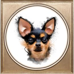 queence Acrylglasbild &raquo;Chihuahua&laquo; Gem&auml;lde Haustiere Hund Hunde Hundebilder Kunst Tiere Fine Art-Print in Galeriequalit&auml;t bunt Acrylglas