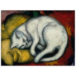 Artland Glasbild &raquo;Die weisse Katze. 1912&laquo; Haustiere 1 Stk. tlg. in verschiedenen Gr&ouml;&szlig;en wei&szlig;