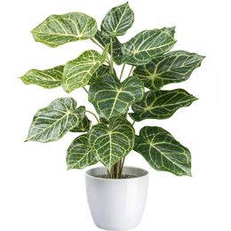 Creativ green K&uuml;nstliche Zimmerpflanze &raquo;Nephtytispflanze&laquo; mit detailgetreuen Bl&auml;ttern gr&uuml;n