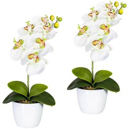 Creativ green Kunstpflanze &raquo;Orchidee Phalaenopsis&laquo; im Keramiktopf gr&uuml;n Kunststoff, Polyester