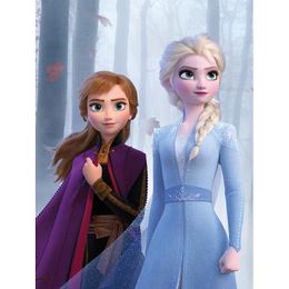 Komar Bild &raquo;Frozen Sisters in the Wood&laquo; Disney 1 Stk. tlg. Wandbild zur Dekoration im Kinderzimmer - ohne Rahmen bunt Holz, Papier