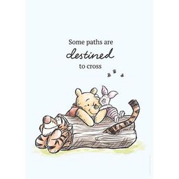 Komar Bild &raquo;Winnie the Pooh Path&laquo; Disney 1 Stk. tlg. Wandbild zur Dekoration im Kinderzimmer - ohne Rahmen bunt Holz, Papier