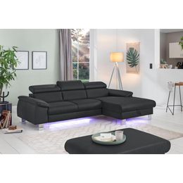 COTTA Ecksofa &raquo;Komaris L-Form, B: 244 cm&laquo; mit Kopfteilverstellung, optional Bettfunktion, Bettkasten & Licht schwarz Microfaser PRIMABELLE (100% 