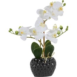 OTTO home Kunstpflanze &raquo;Orchidee&laquo; Kunstorchidee, im Topf, Bestseller, &uuml;ber 2500 4,5-Sterne-Bewertungen schwarz-wei&szlig; Keramik, Kunststoff, Polyester