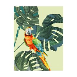 Komar Bild &raquo;Green-Winged Macaw&laquo; Natur 1 Stk. tlg. Wandbild zur Dekoration - ohne Rahmen bunt Holz, Papier