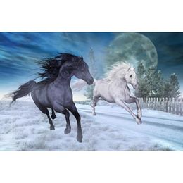 papermoon Fototapete &raquo;PFERDE-NATUR MOND TIERE PONY B&Auml;UME PFERD WANDBILD DEKO&laquo; bunt Vlies