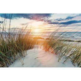 papermoon Fototapete &raquo;D&uuml;nen bei Sonnenuntergang&laquo; bunt Vlies